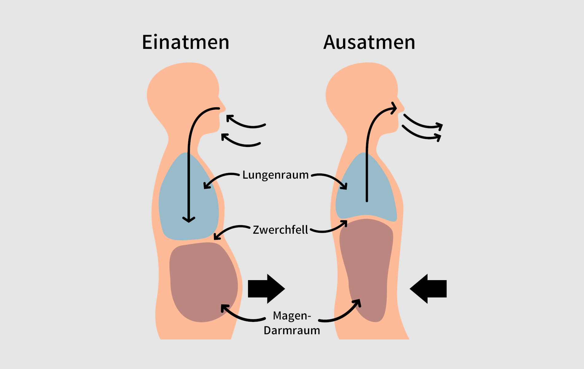 Bauchatmung für den Sauerstoff-Kick - Biohacking